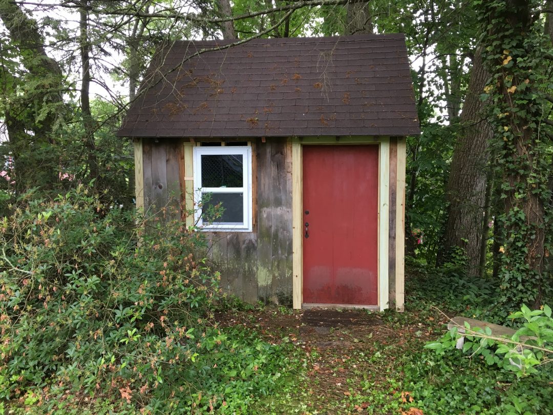 Auntie Hannah’s Magical Shed – 95 Birds